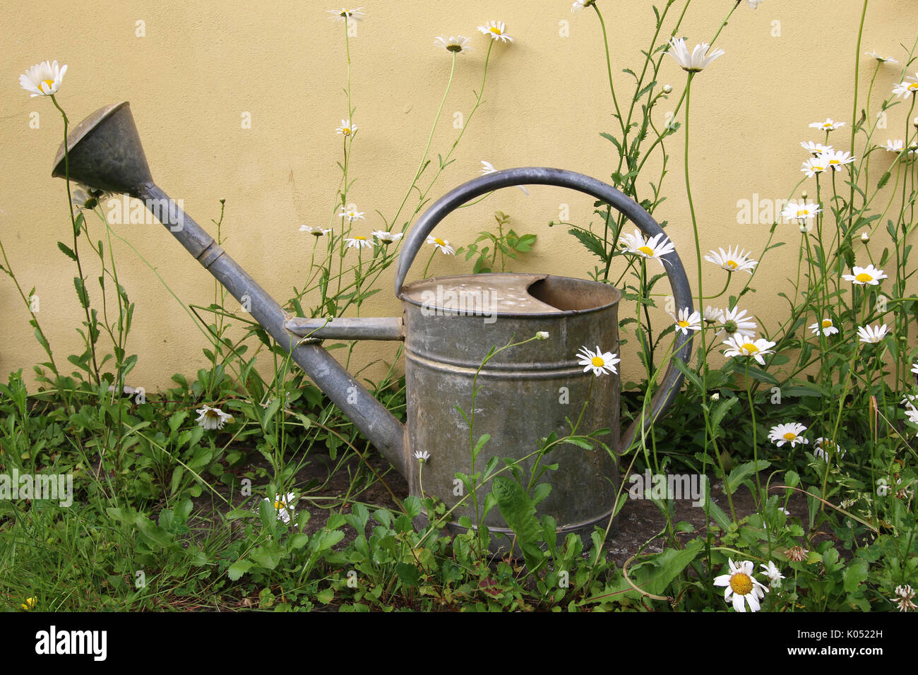 Sprinkling can hi-res stock photography and images - Alamy