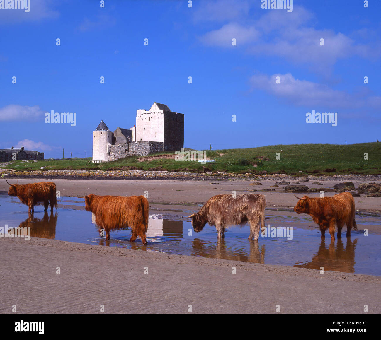 Highland cows are seen here enjoying the hot summer weather at ...