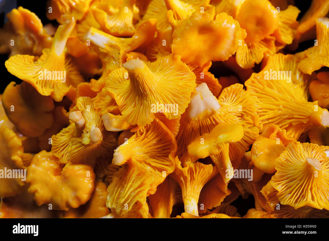 Edible orange hi-res stock photography and images - Alamy