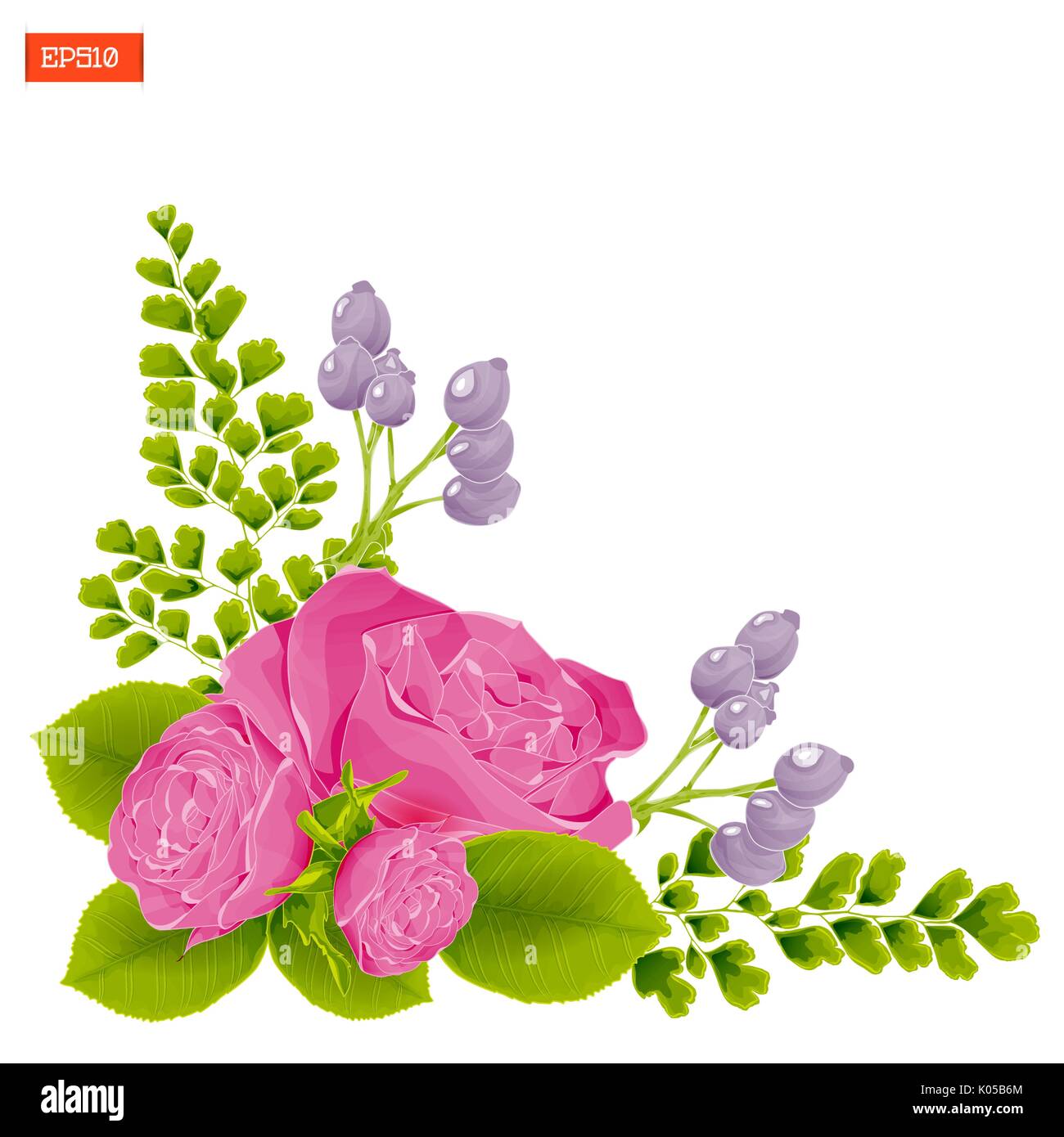 Rose corner border hi-res stock photography and images - Alamy