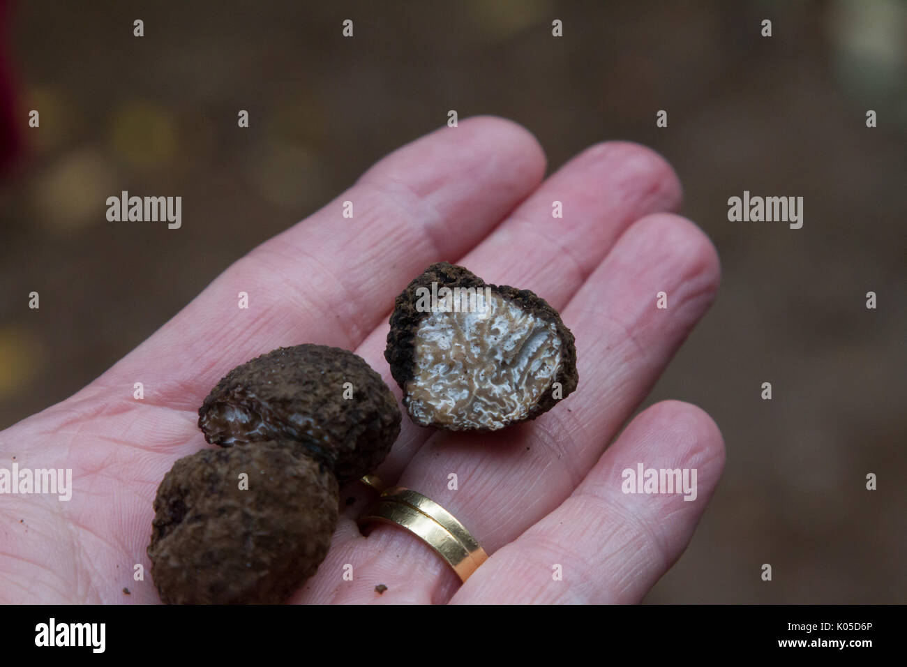 Expensive soil hi-res stock photography and images - Alamy