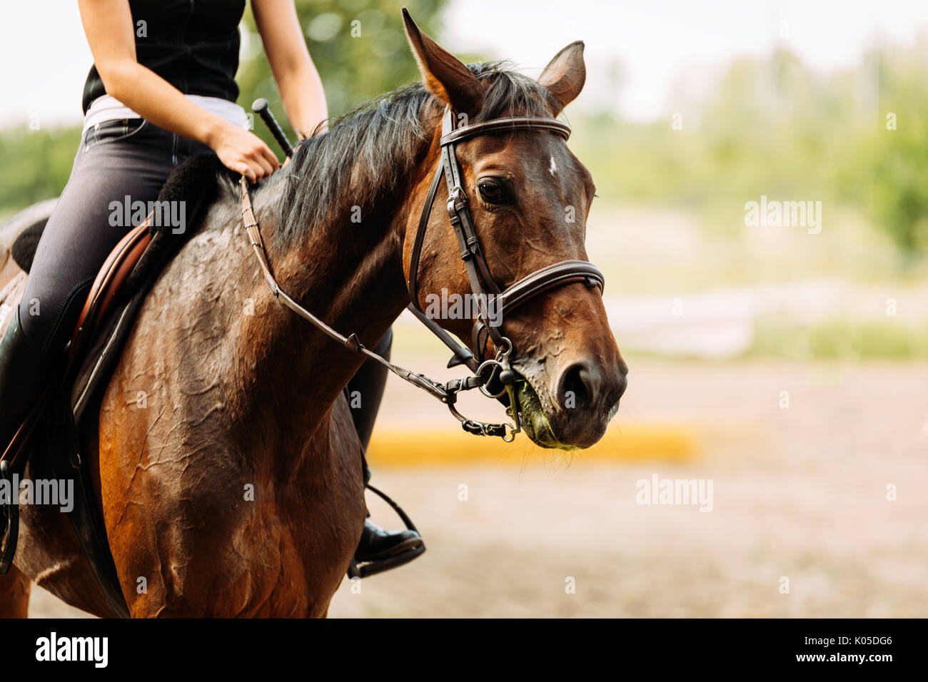 Picture of young pretty girl riding horse Stock Photo - Alamy