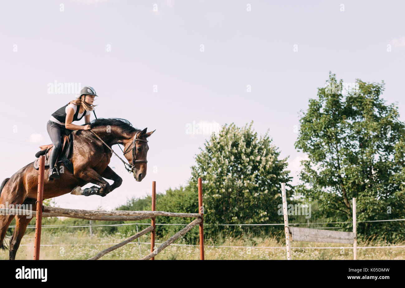Horse leaping hi-res stock photography and images - Alamy