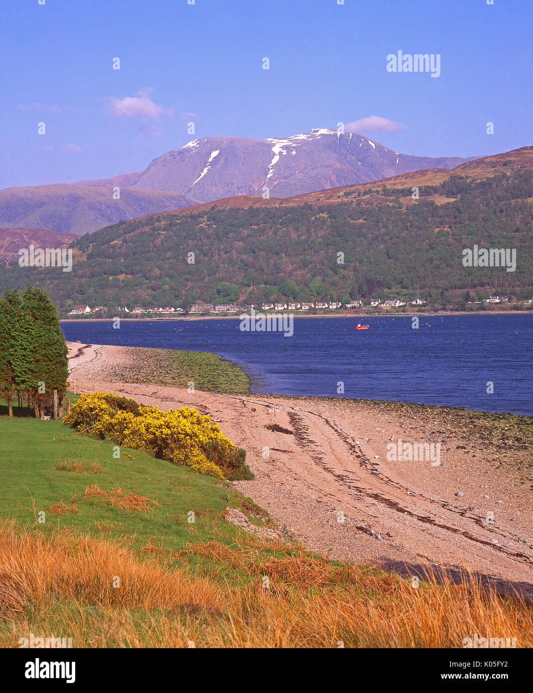 Lovely spring view towards Ben Nevis and Fort William from across Loch ...