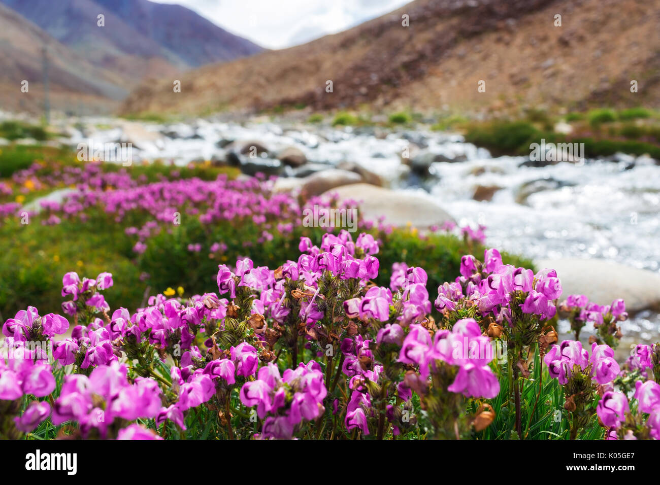 Natural landscape in Leh Ladakh, Jammu and Kashmir, India Stock Photo ...
