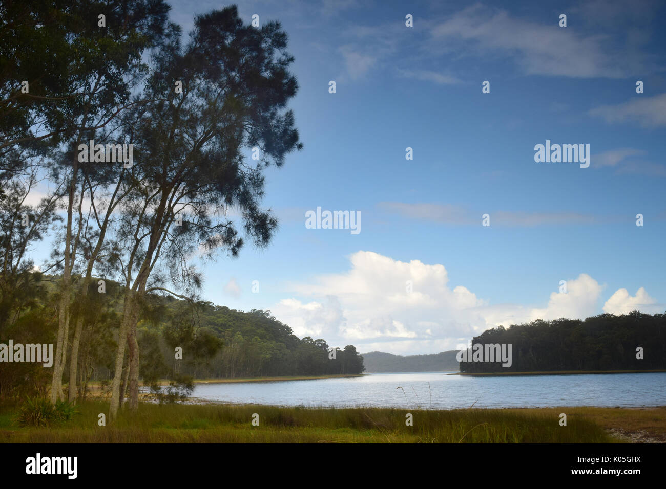 Myall Lakes National Park, New South Wales, Australia Stock Photo - Alamy