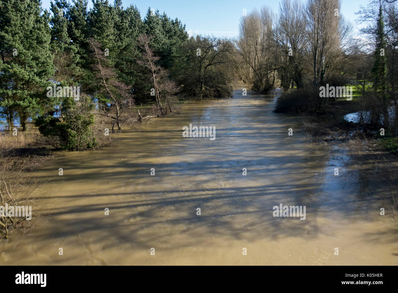 River Mole in Surrey floods Stock Photo - Alamy