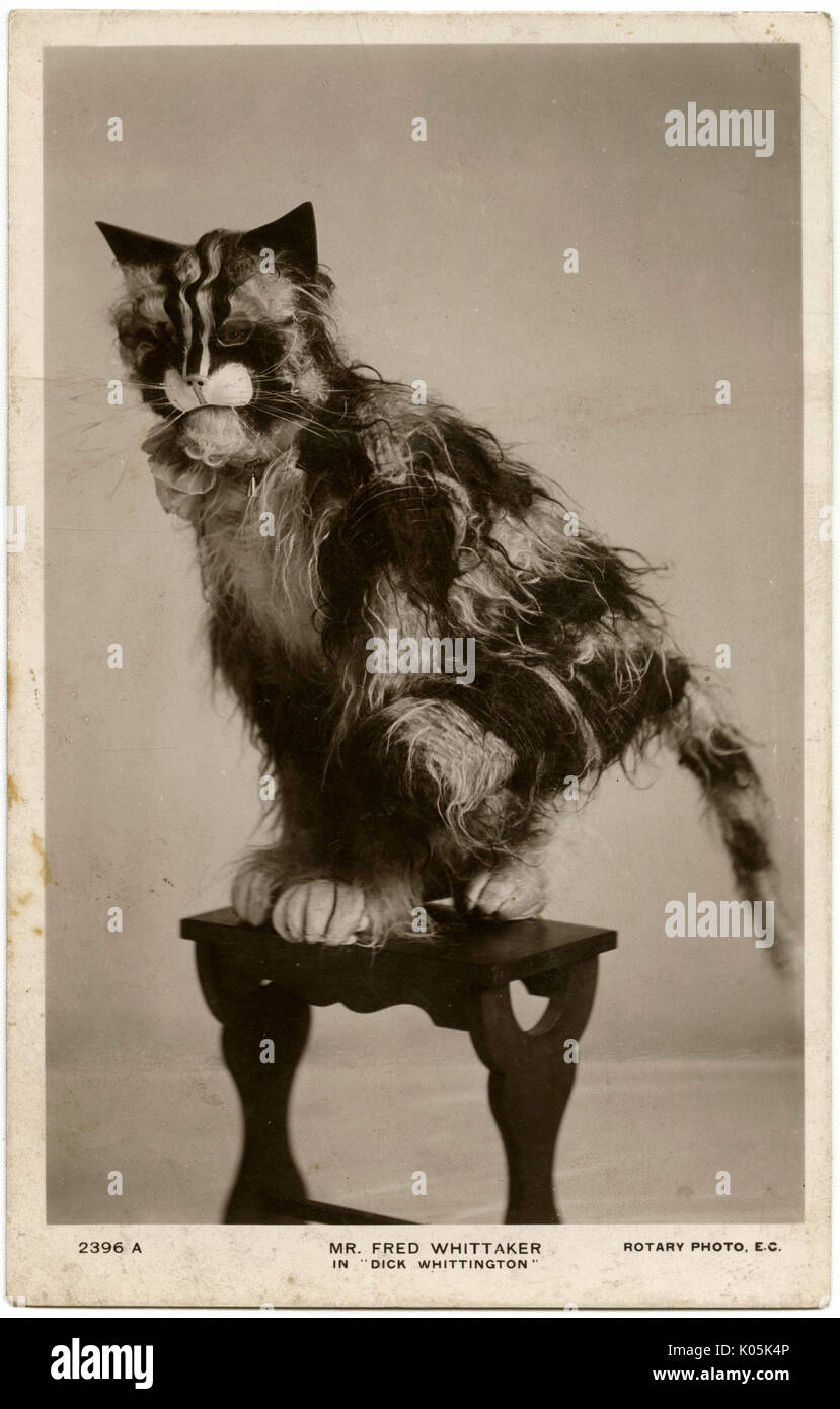 Fred Whittaker in pantomime Stock Photo - Alamy