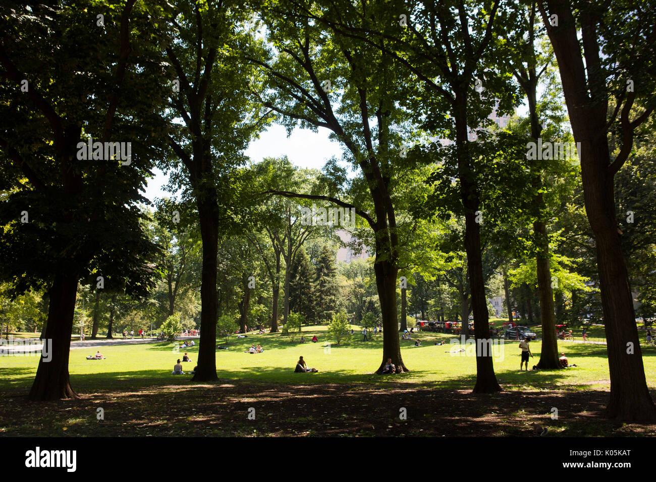 Tourists and locals sit under the shade of large trees in central Park ...