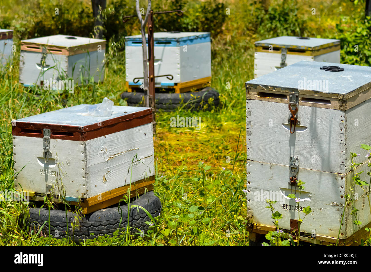 Different bee hives hi-res stock photography and images - Alamy