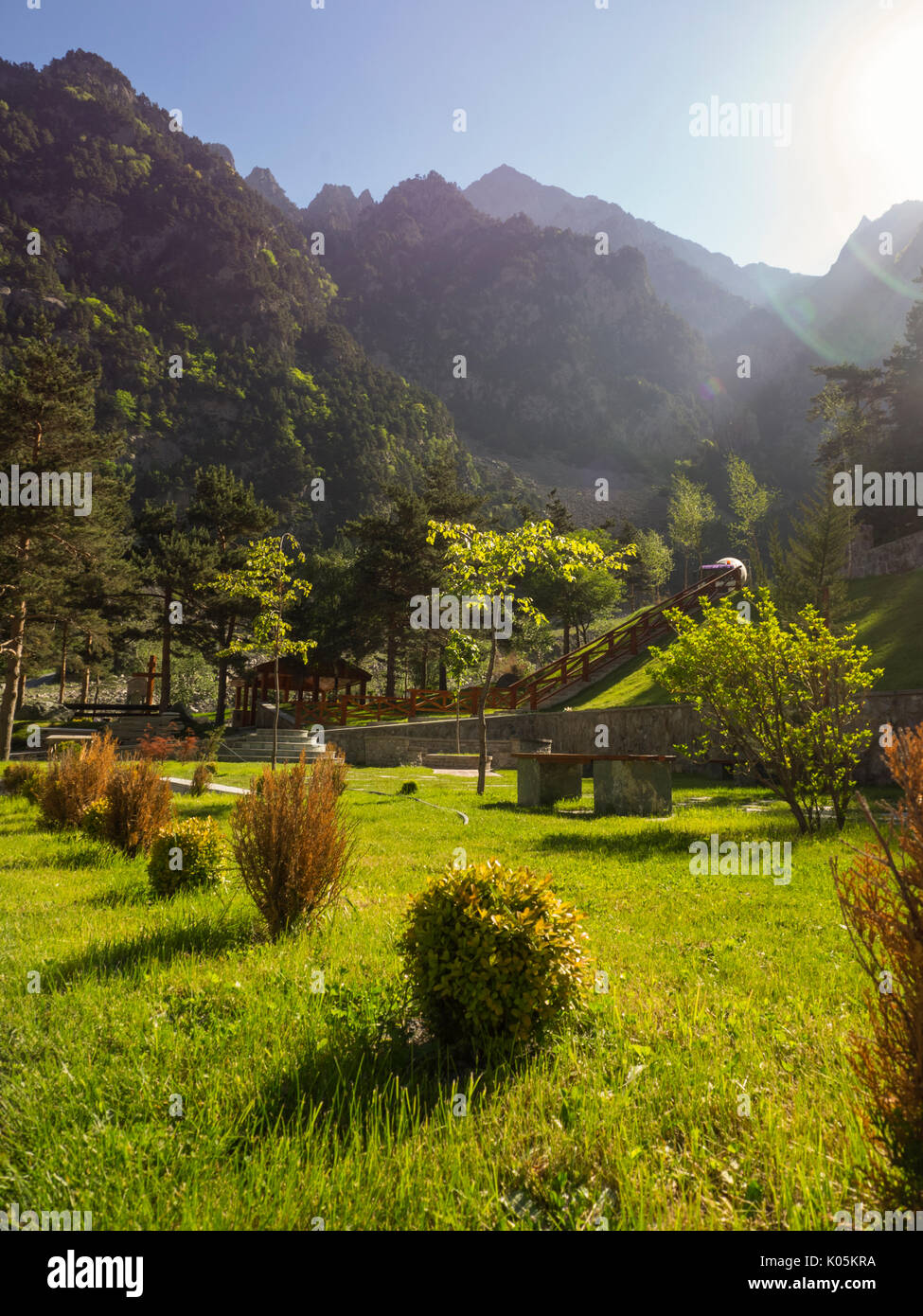 Lawn with grass and bushes lit by the sun against the background of the ...