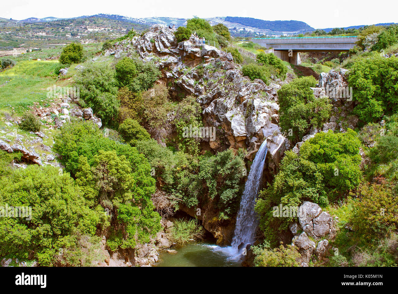 Flowers in israel water hi-res stock photography and images - Alamy