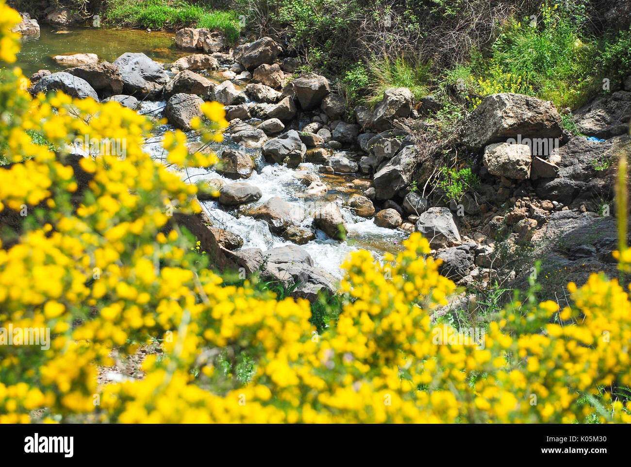 Israel water hi-res stock photography and images - Alamy