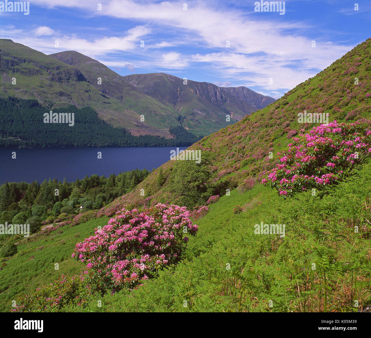 Loch Lochy High Resolution Stock Photography and Images - Alamy