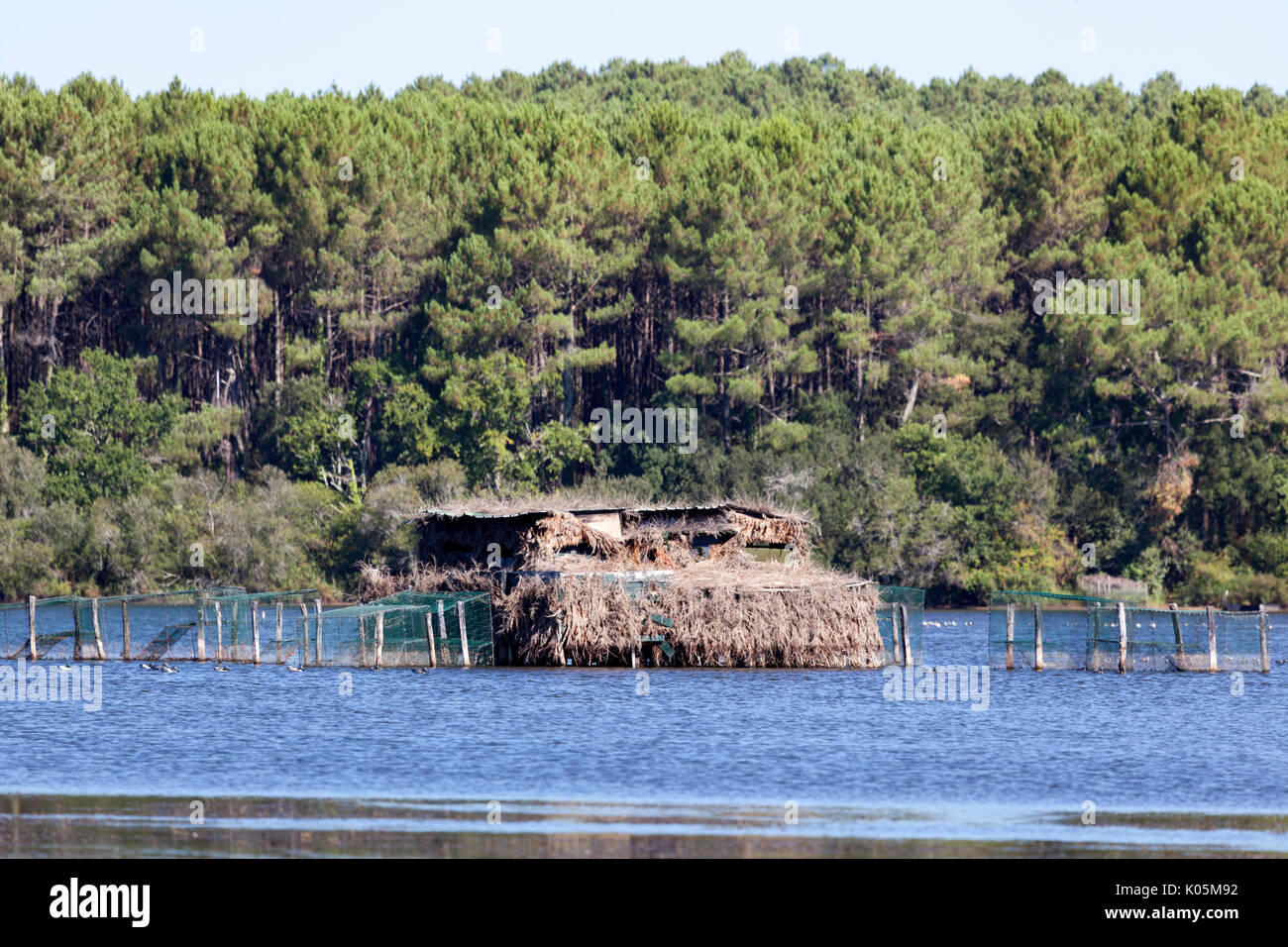 In Summer, a duck hunting hut on the Pond of Hardy, at Seignosse ...