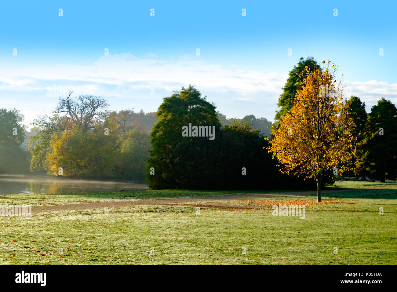 Woods autumn orange hi-res stock photography and images - Alamy