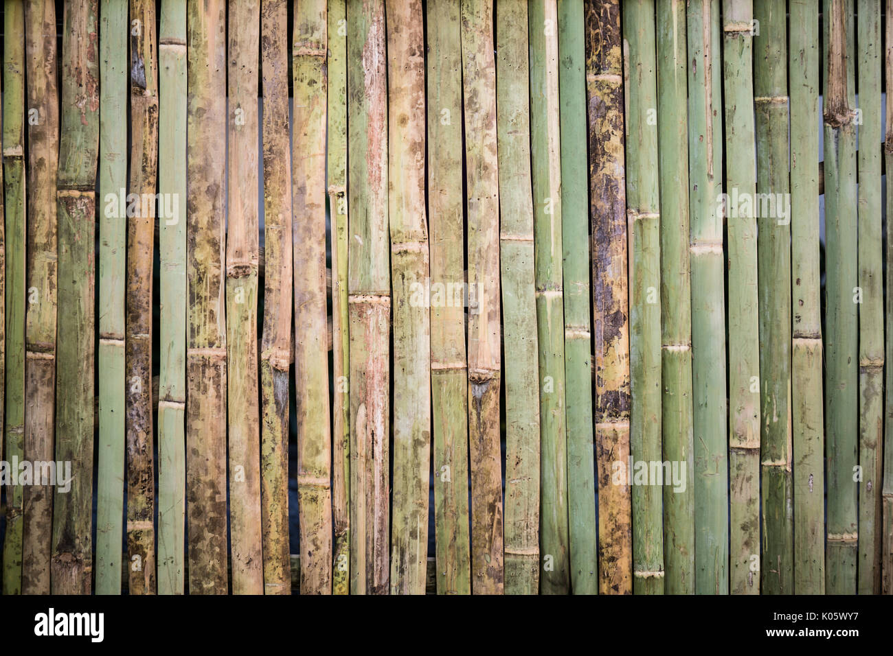 bamboo fence background Stock Photo - Alamy