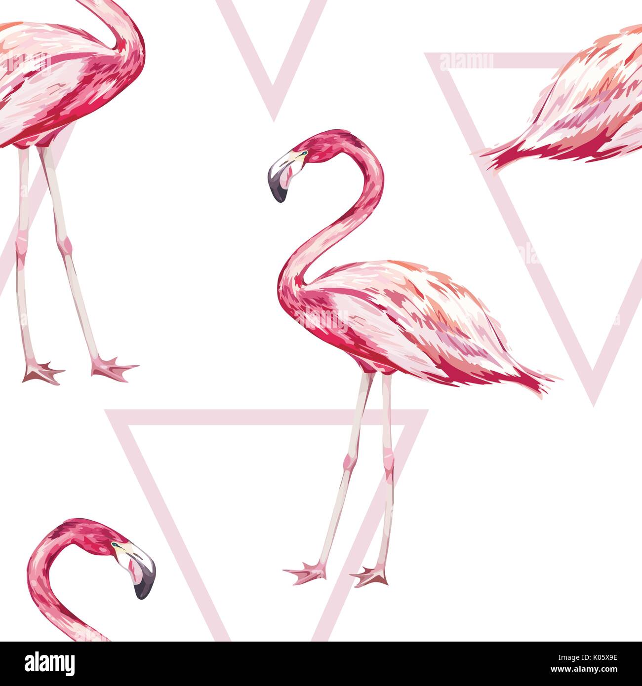 Pink flamingo line drawing hi-res stock photography and images - Alamy