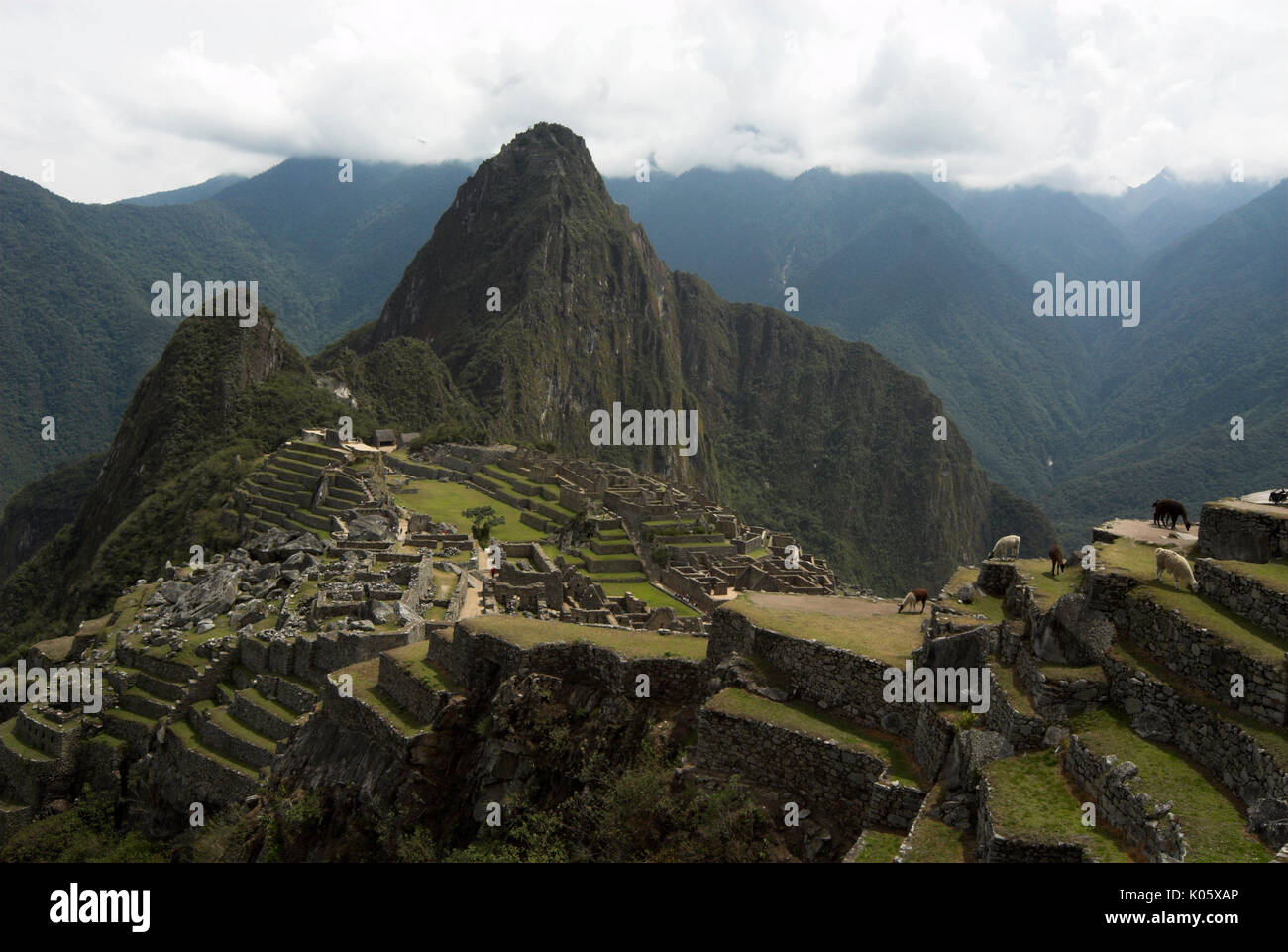 Machu Picchu Inca Ruins, view looking down onto ruins, Mount Huayna ...