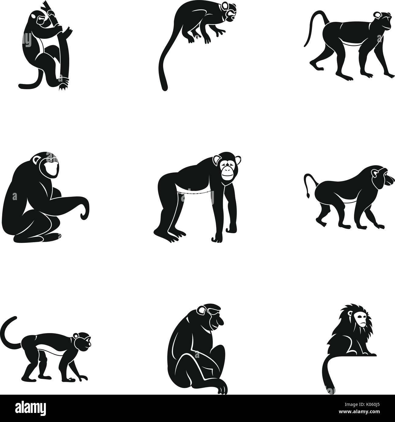 Monkey hamadryad hi-res stock photography and images - Alamy