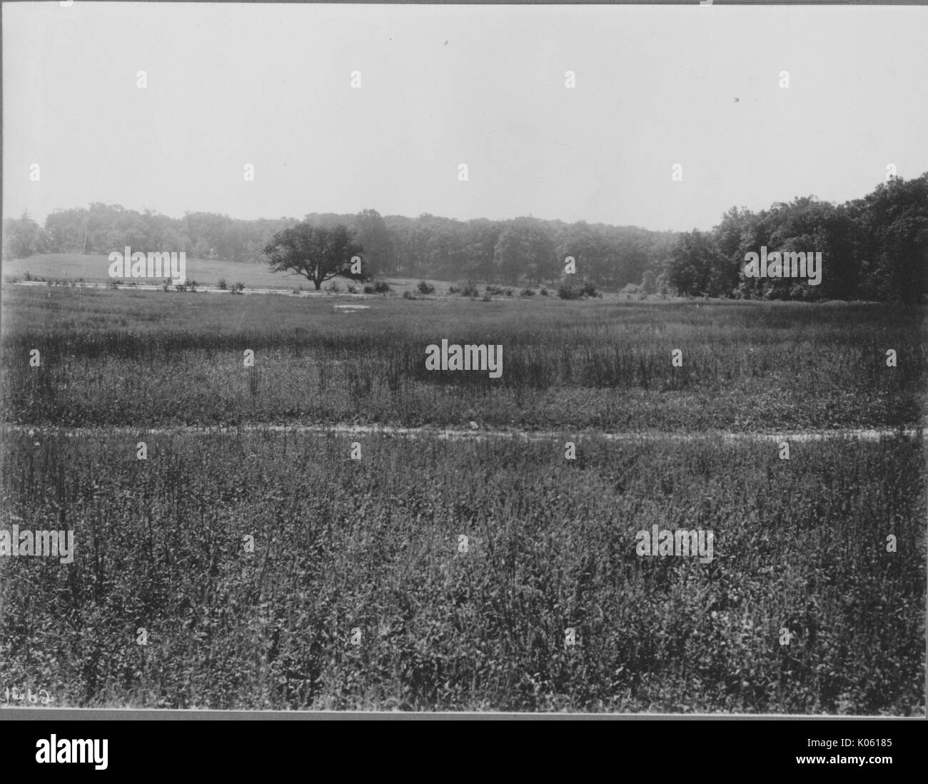 Background view Black and White Stock Photos & Images - Alamy