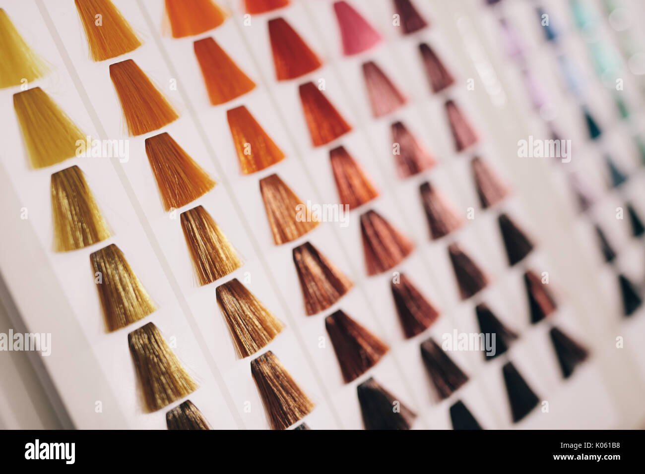 Closeup of hair samples with different color shades on a card. Hair ...