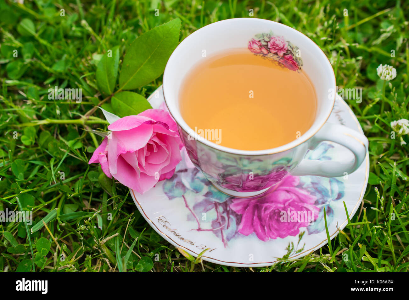 World best tea hi-res stock photography and images - Alamy