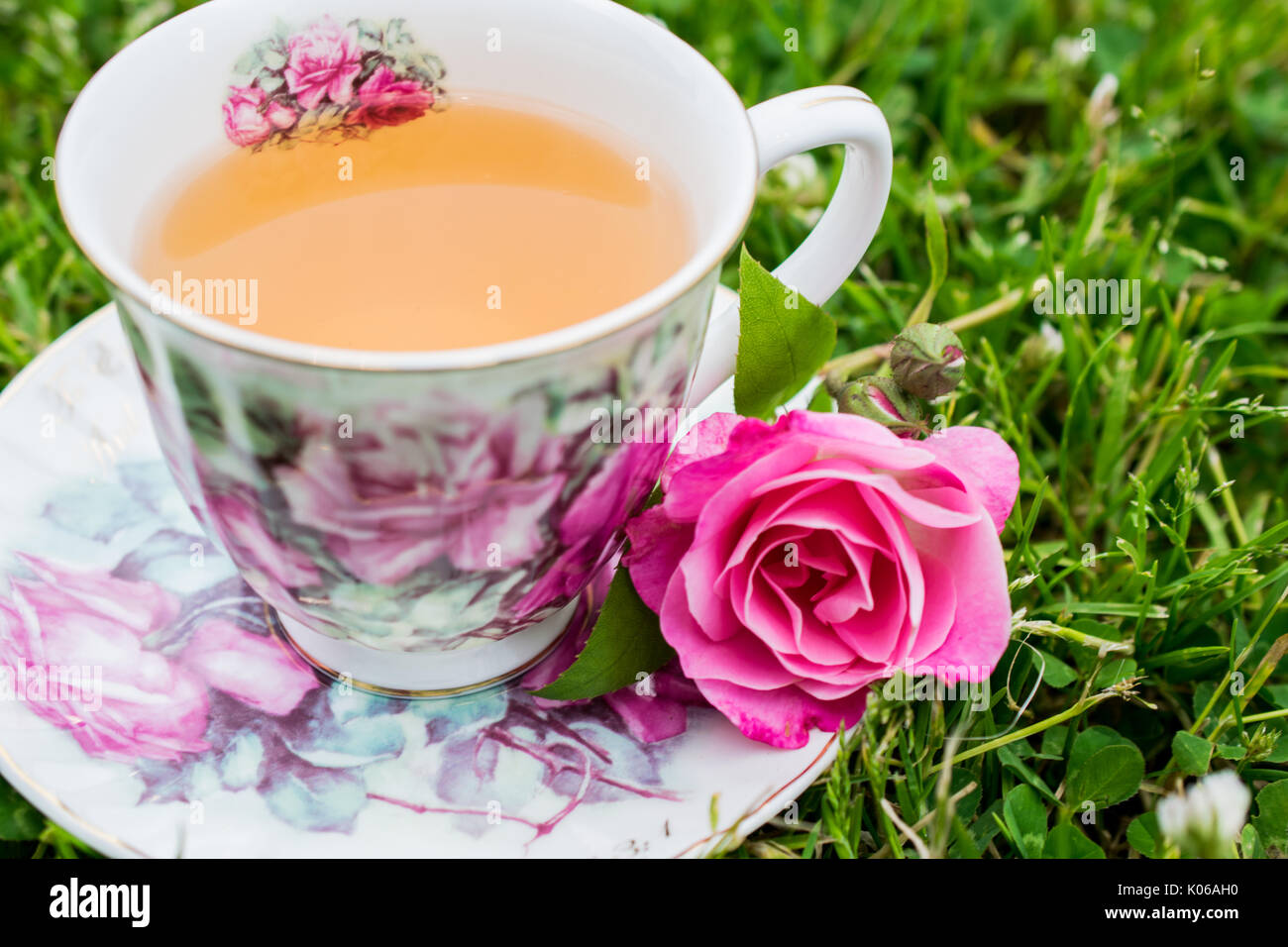 Darjeeling Victorian, 1st Flush Darjeeling tea is one of the best teas ...