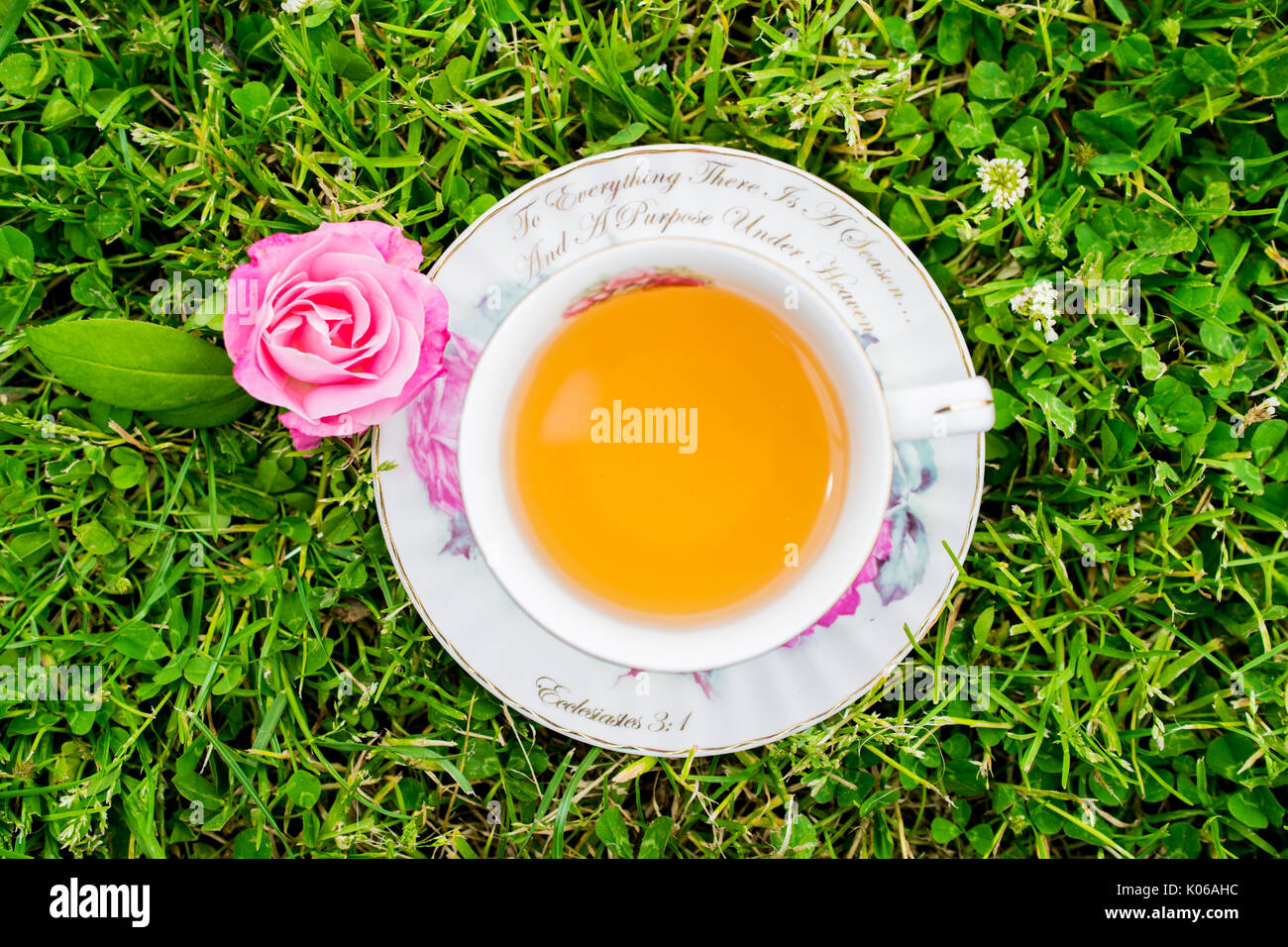 World best tea hi-res stock photography and images - Alamy