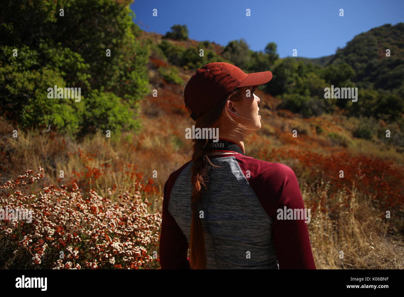 Silverado, California, USA. 21st Aug, 2017. Sarah Jane Murray prepares ...