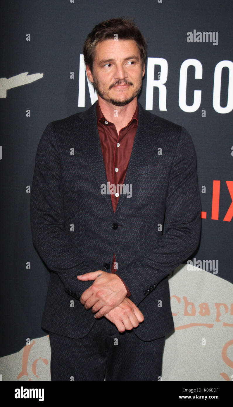New York, USA. 21st Aug, 2017. Pedro Pascal attend Netflix Original ...