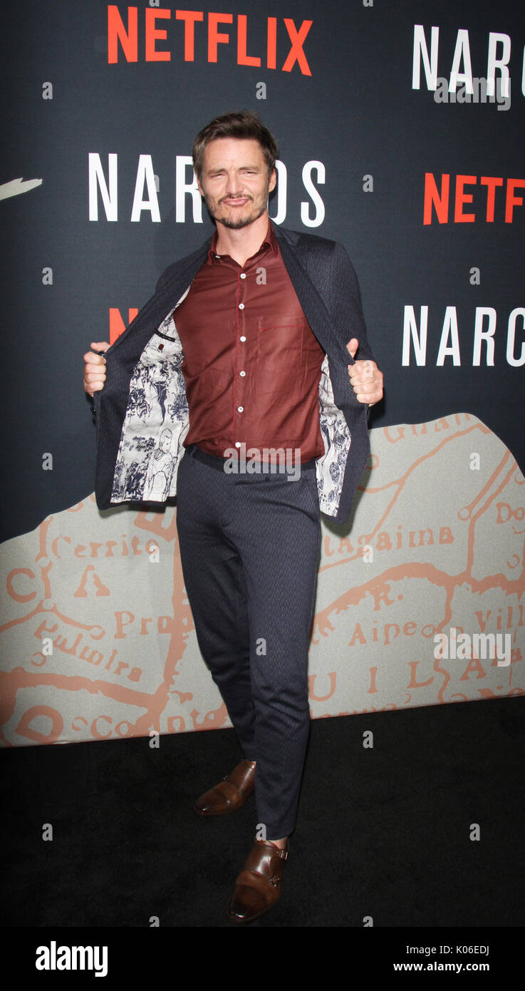 New York, USA. 21st Aug, 2017. Pedro Pascal attend Netflix Original ...