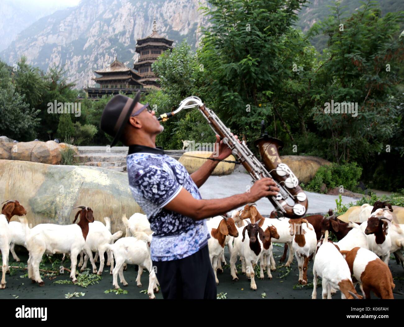Dengfen, Dengfen, China. 19th Aug, 2017. Dengfeng, CHINA-19th August ...