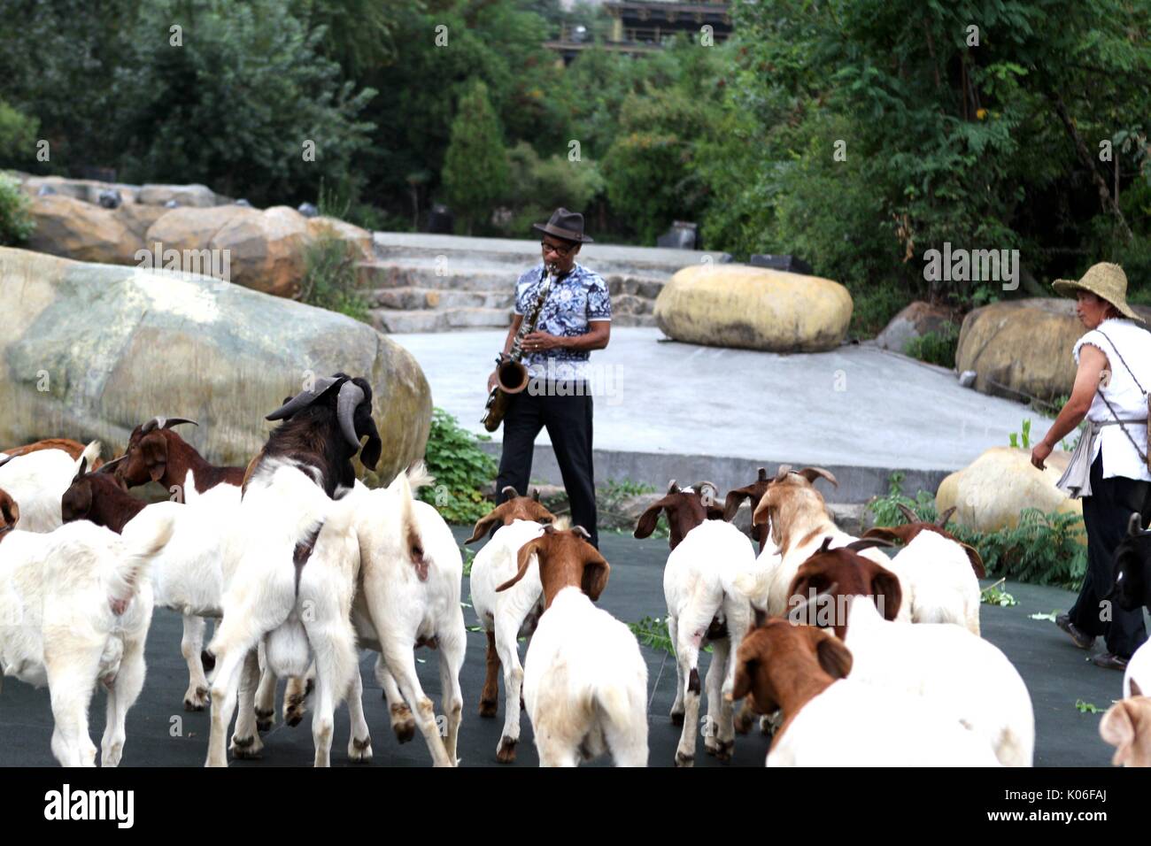 Dengfen, Dengfen, China. 19th Aug, 2017. Dengfeng, CHINA-19th August ...