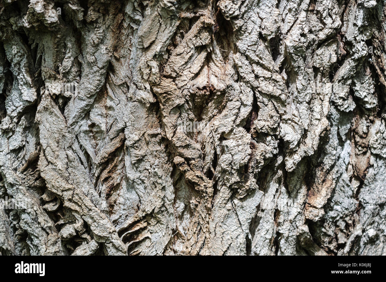 Brown cracked tree bark background Stock Photo - Alamy