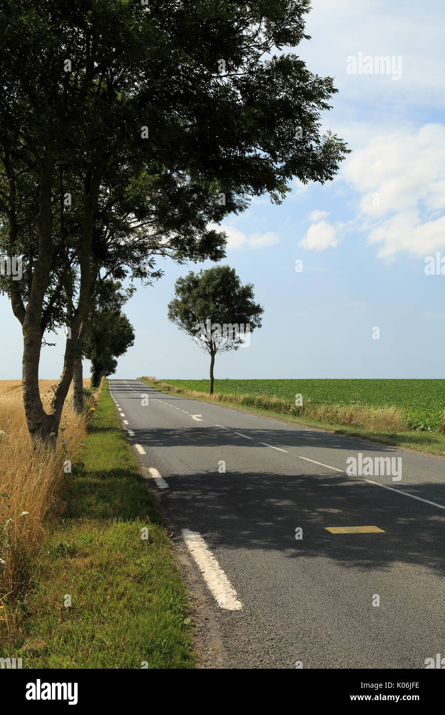 Typical french tree lined road hi-res stock photography and images - Alamy