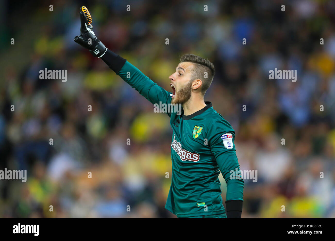 Norwich City Goalkeeper Angus Gunn Stock Photo - Alamy