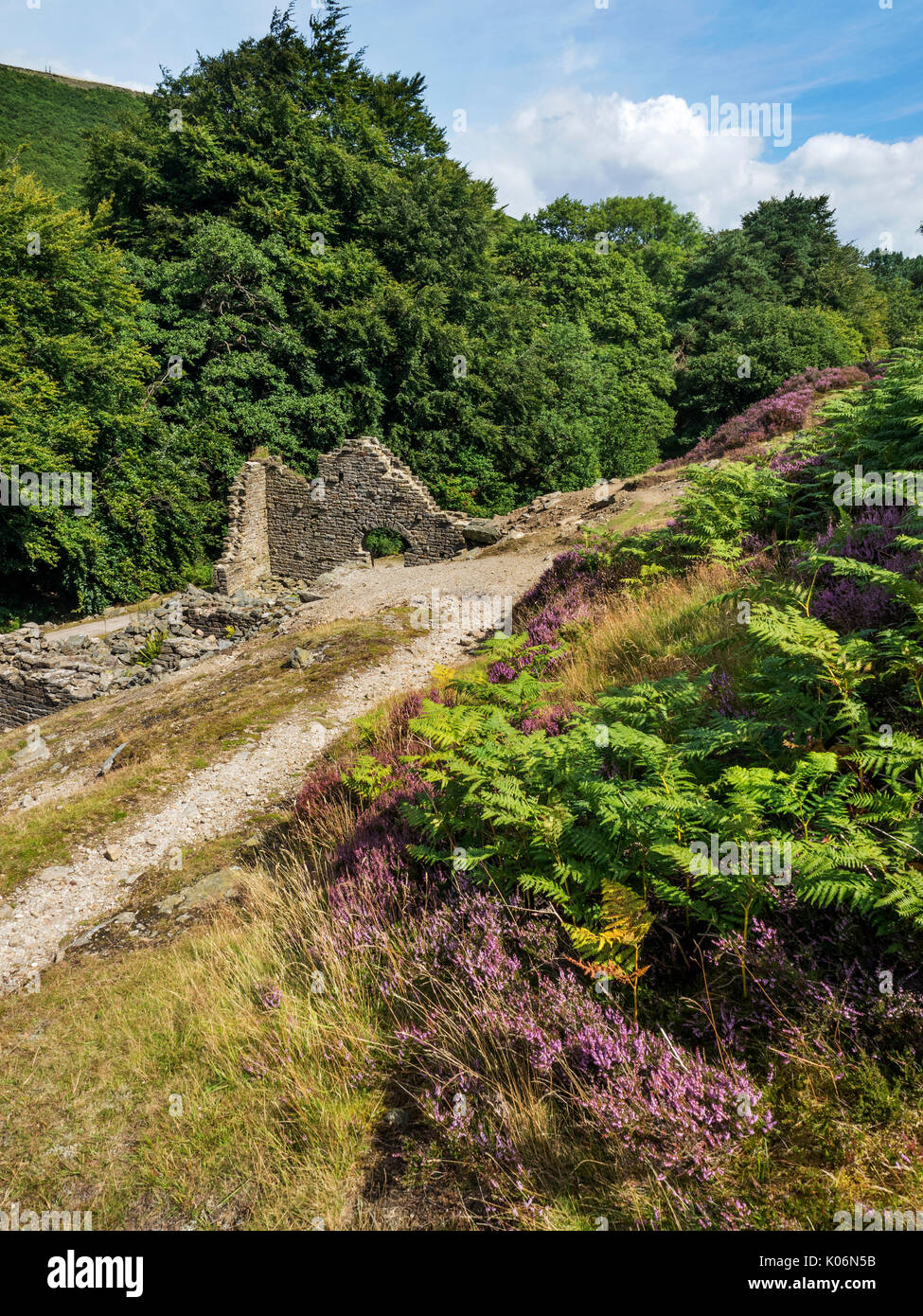 Ruin of Prosperous Lead Smelting Mill near Greenhow Pateley Bridge ...