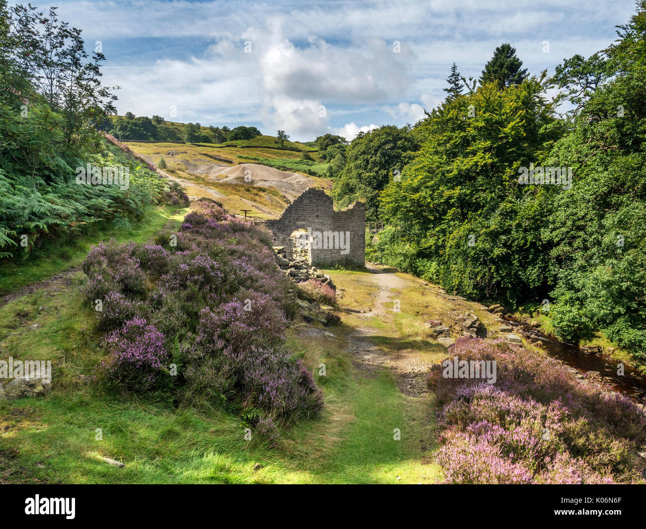 Ruin of Prosperous Lead Smelting Mill near Greenhow Pateley Bridge ...