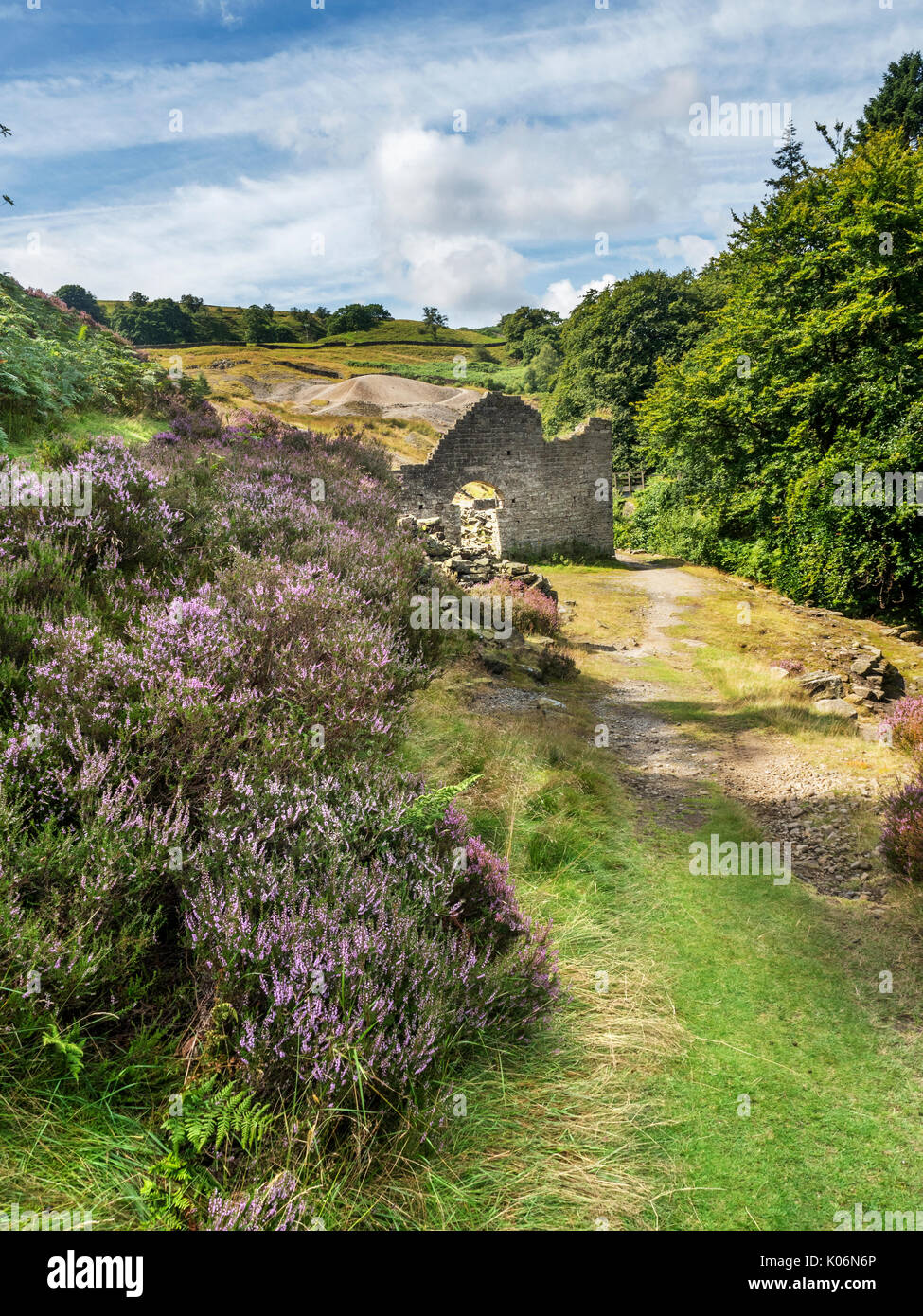 Ruin of Prosperous Lead Smelting Mill near Greenhow Pateley Bridge ...