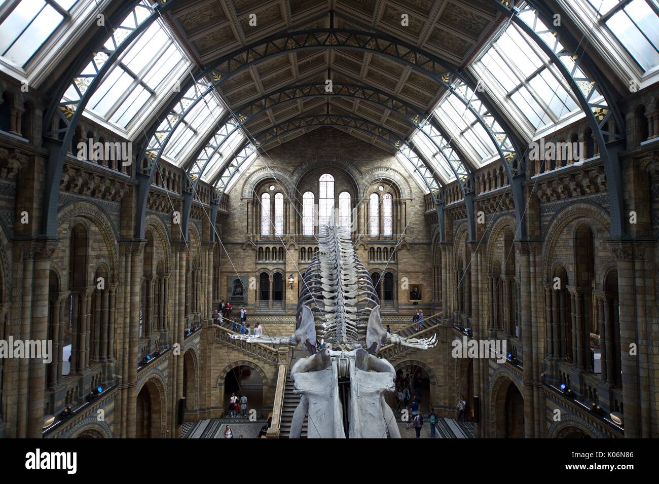 Natural History Museum Stock Photo - Alamy