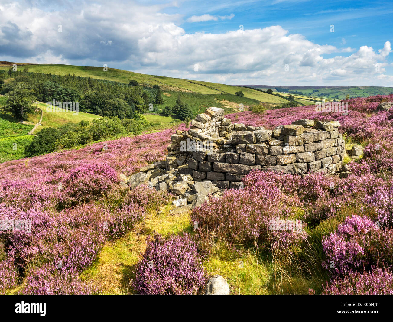 Beehive mill hi-res stock photography and images - Alamy