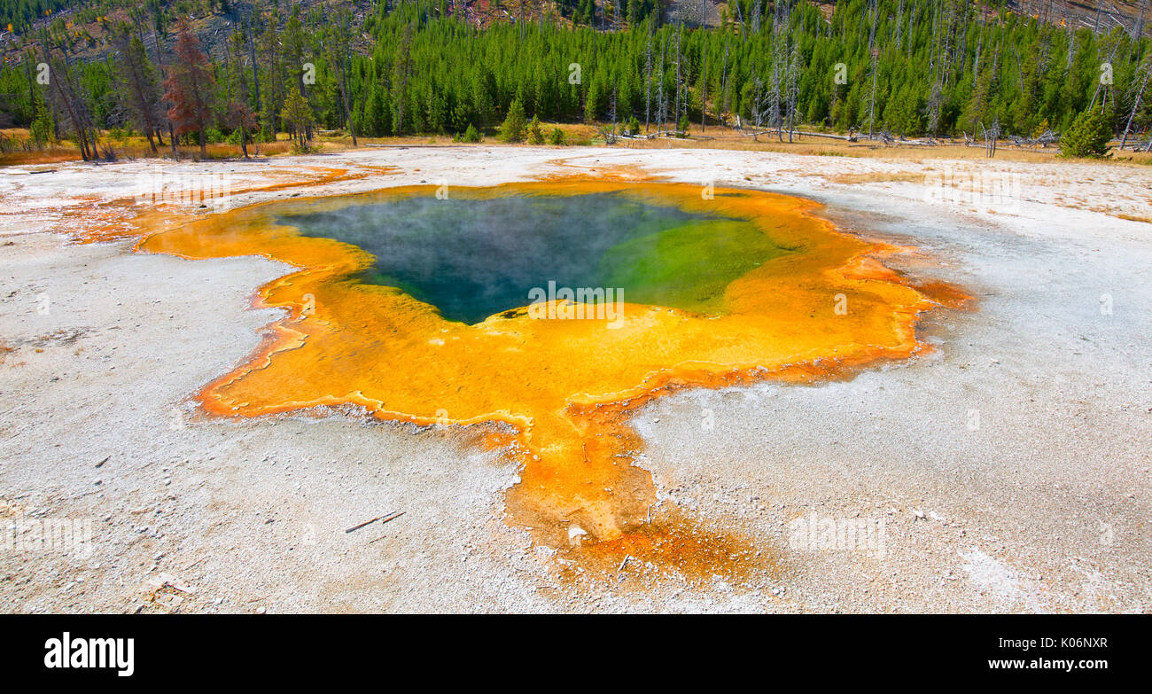 Colorful hot water pool in the Yellowstone National park, USA Stock ...