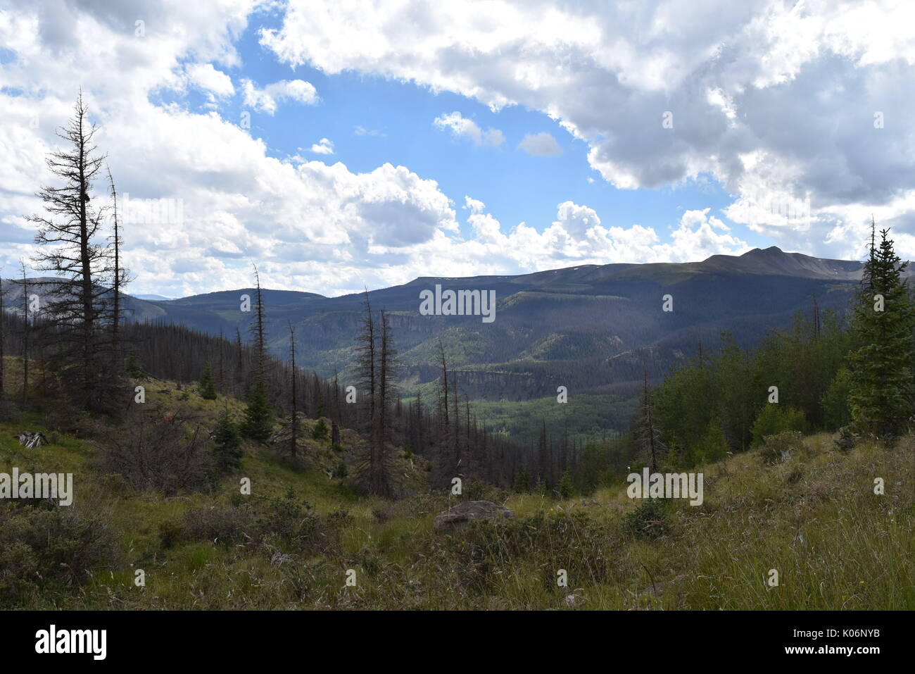 The Rio Grande, Creede, Colorado Stock Photo - Alamy