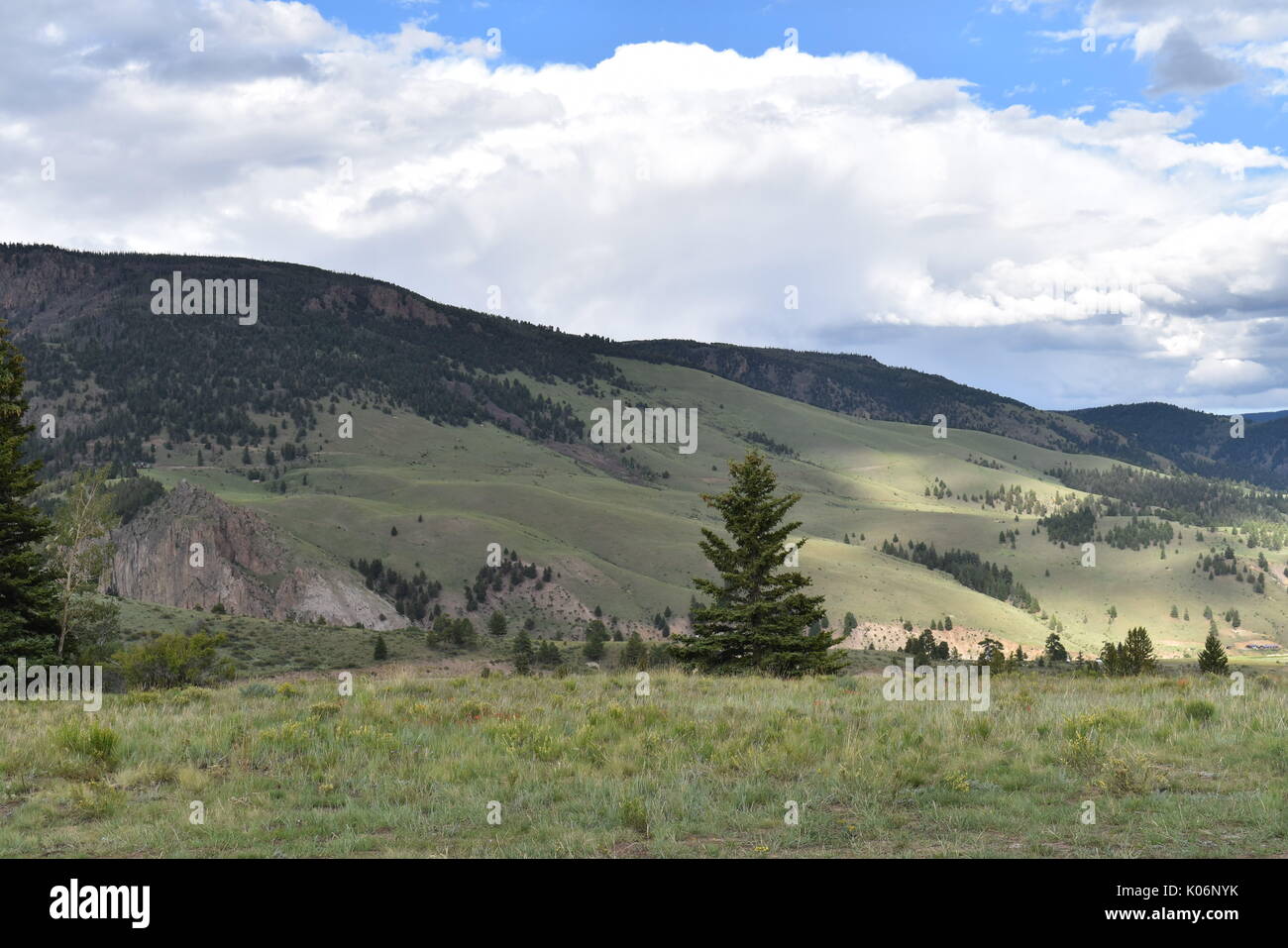 The Rio Grande, Creede, Colorado Stock Photo - Alamy