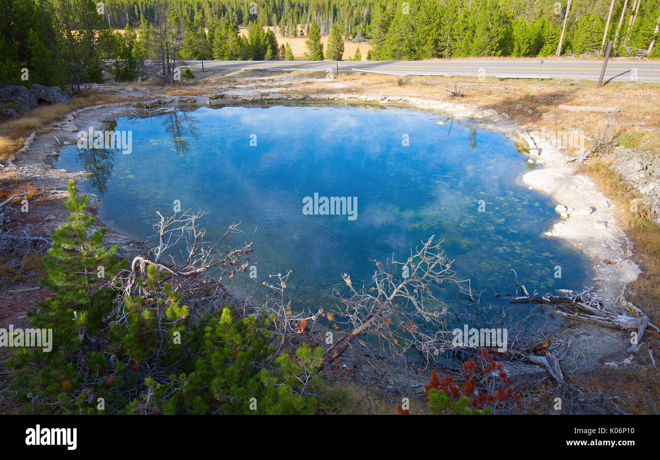 Colorful hot water pool in the Yellowstone National park, USA Stock ...