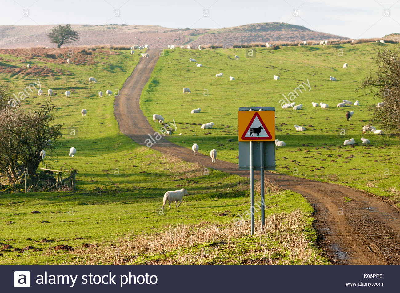Welsh Sign High Resolution Stock Photography and Images - Alamy