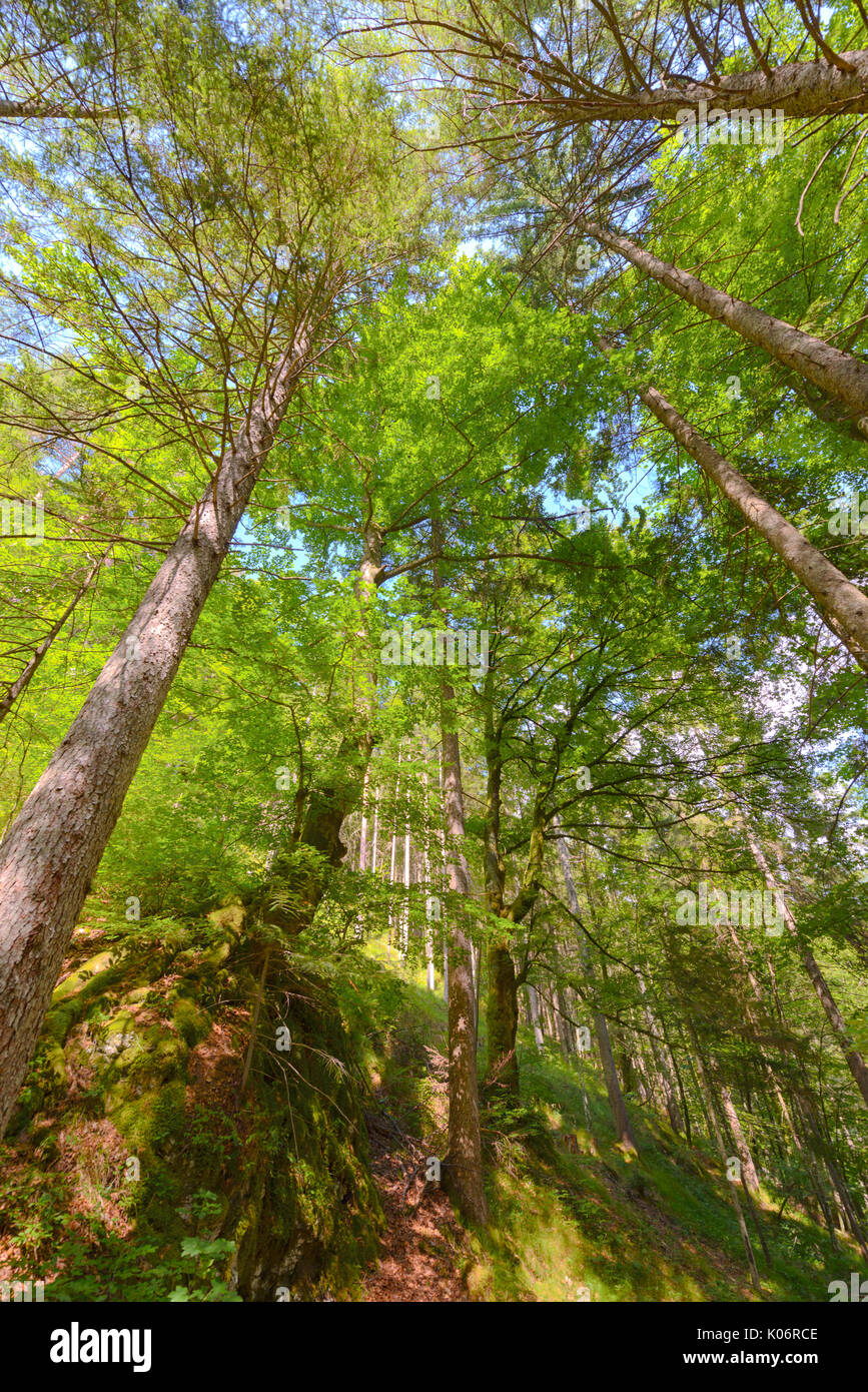 Perspective wide hi-res stock photography and images - Alamy