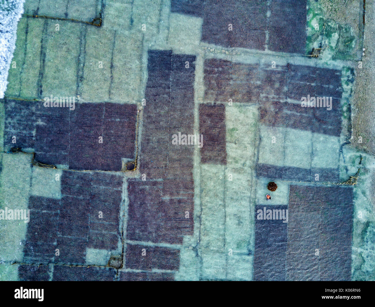 Sea weed farms in the evening on the east of the island of Nusa Penida ...