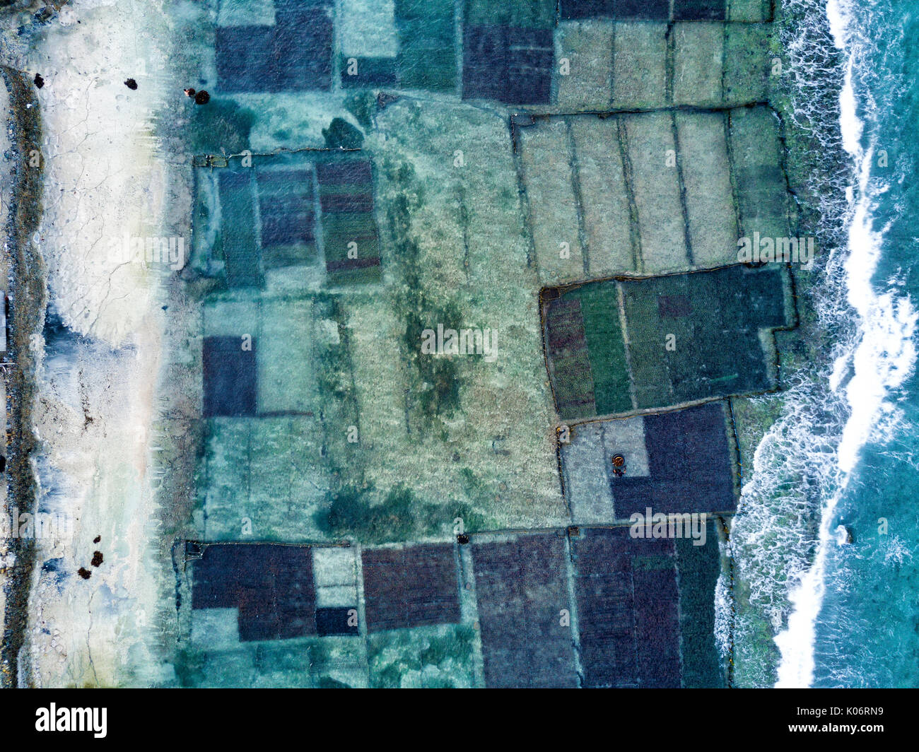 Sea weed farms in the evening on the east of the island of Nusa Penida ...